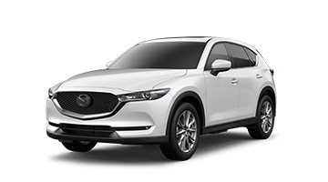 Our Cars | Dollar Car Rental New Zealand